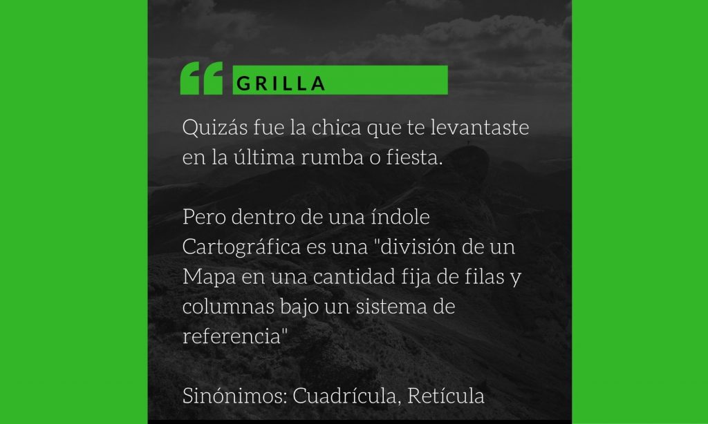¿Qué es una Grilla , en un contexto cartográfico y profesional?